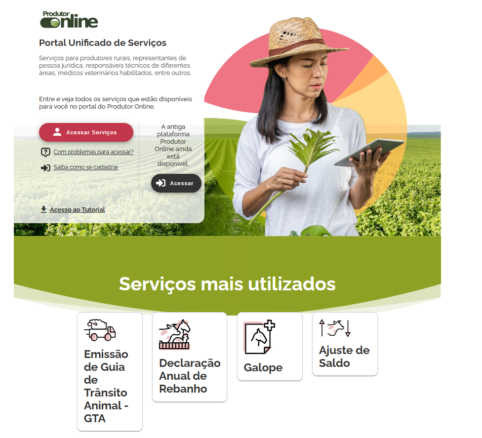 Emissão de GTA agora pode ser feita pelo celular em apenas sete etapas | TV Cidade 10